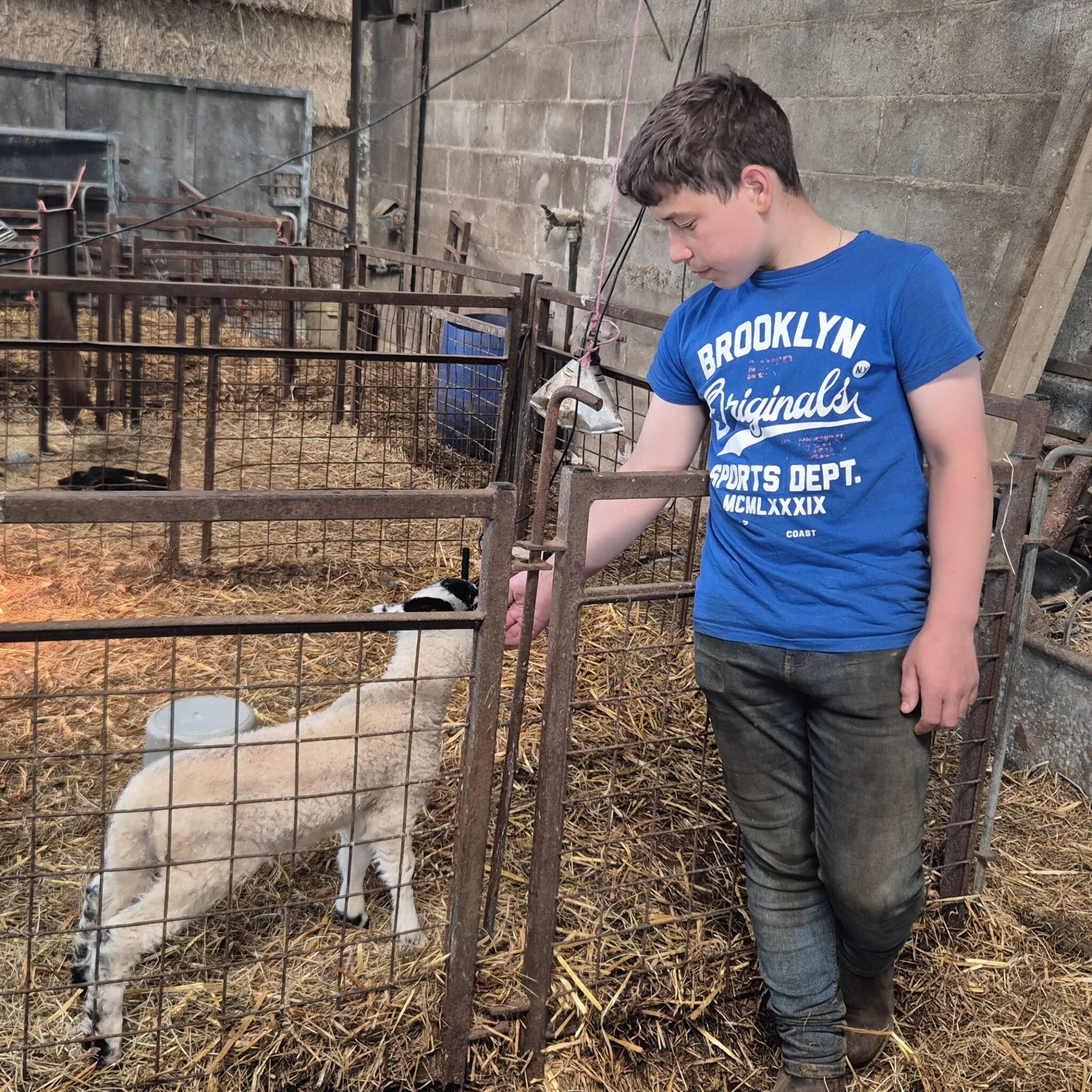 Agriculture Placements - Queen Elizabeth's Grammar School, Ashbourne ...